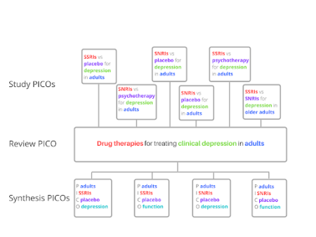 PICO: all you need to know - Covidence